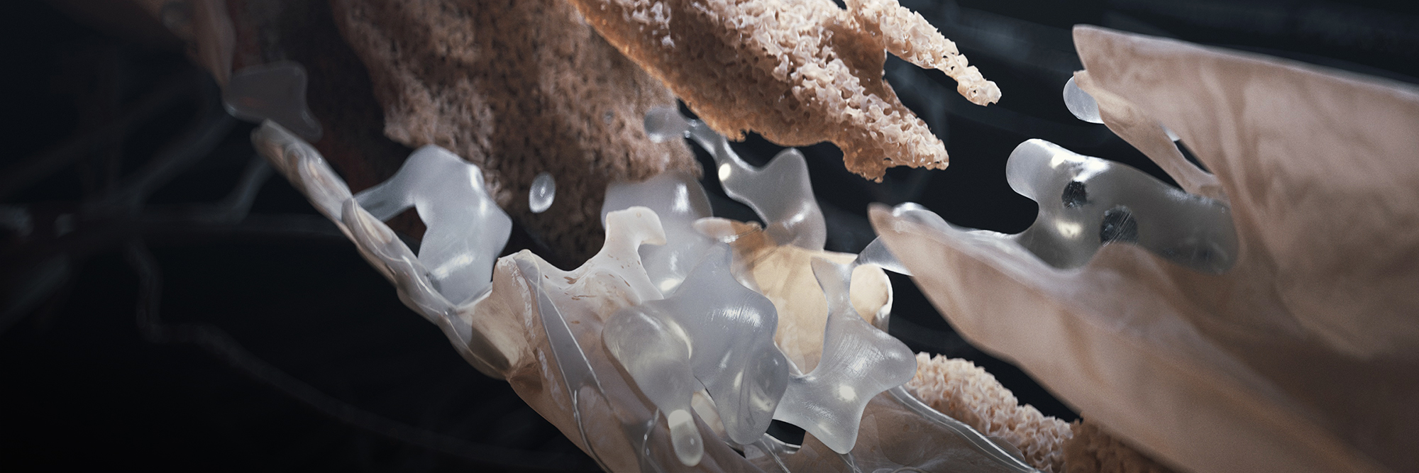 Bionics | Invest beyond the ordinary